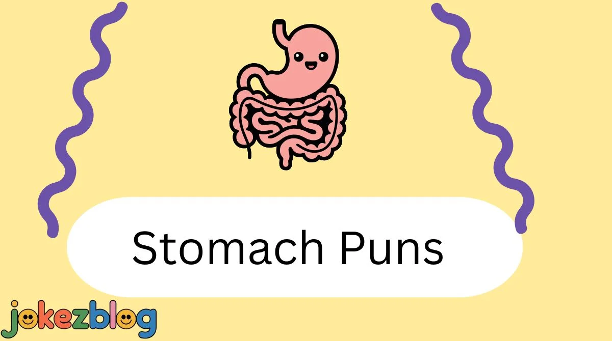 194+ Stomach Puns That’ll Make You Giggle From the Gut 😄🌀